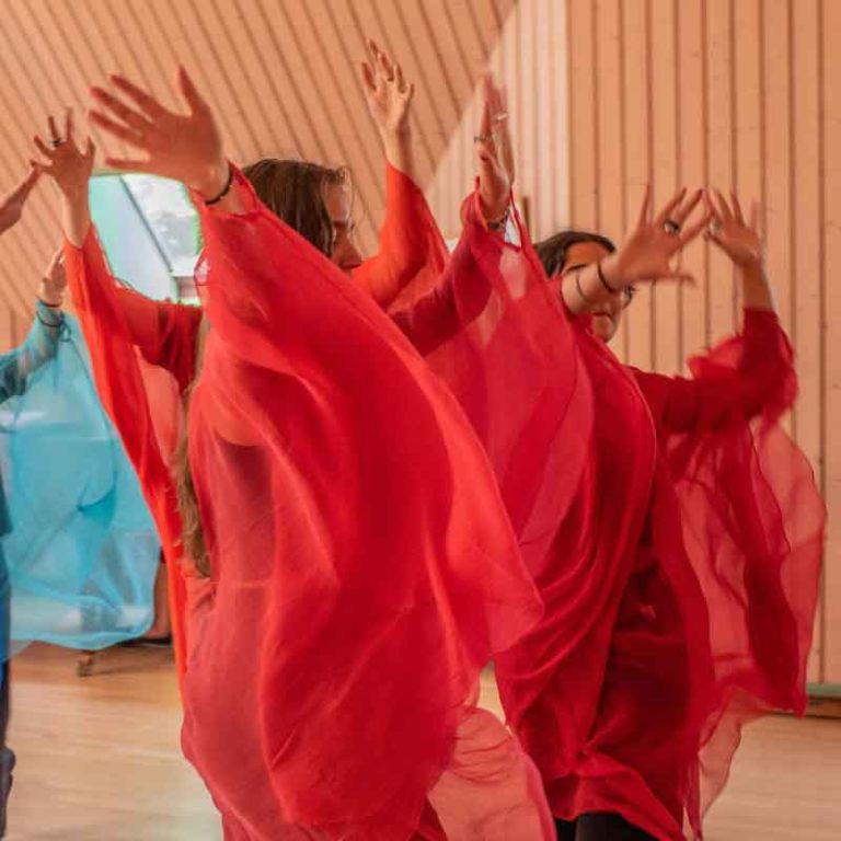 ACTIVITÉS ADULTES - Rudolf Steiner | École Genève