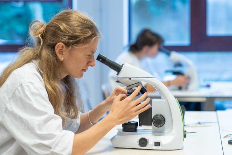 Appel à Soutien : Une nouvelle salle de Sciences en 2023 ! - Rudolf ...